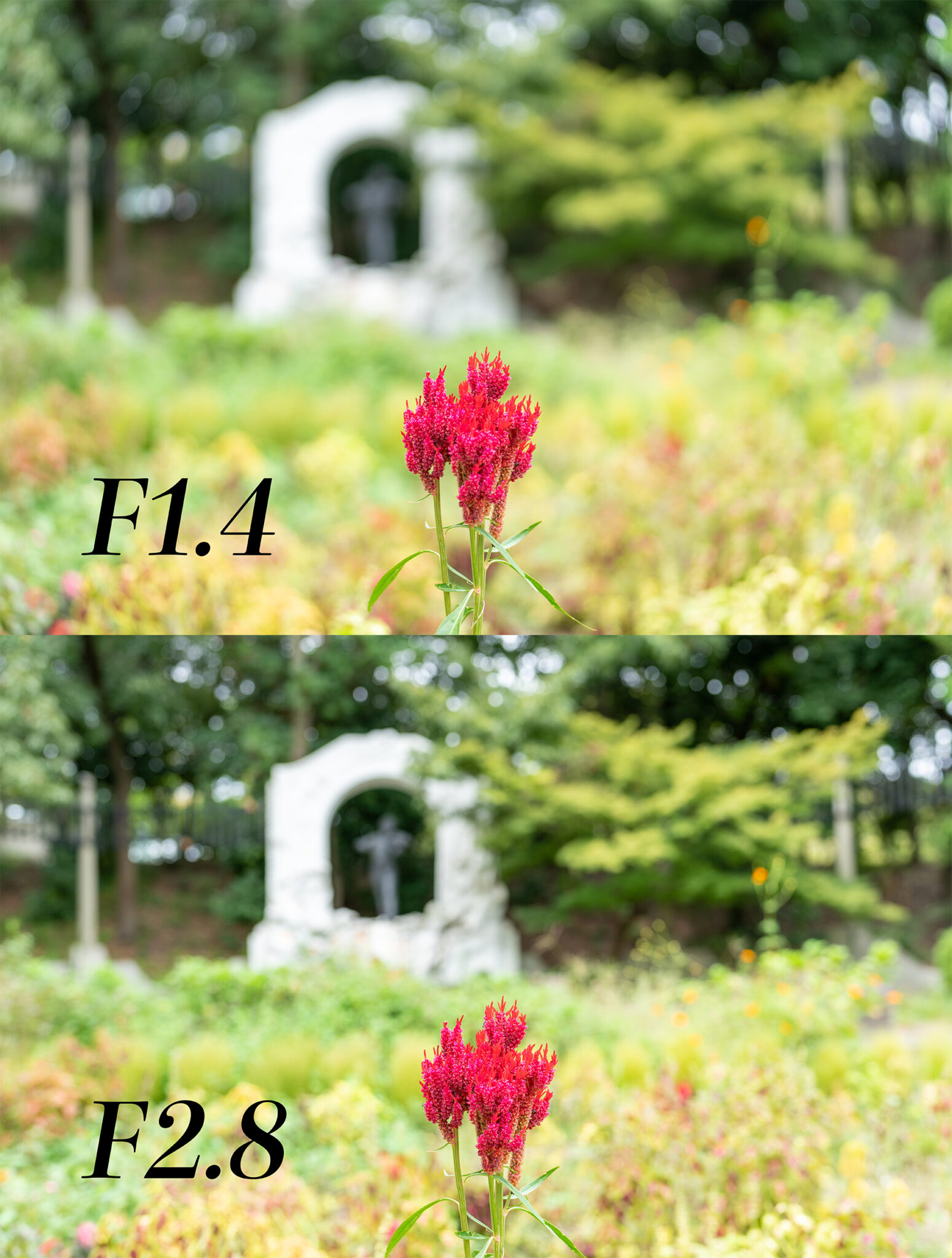 暗い場所でF2.8とF1.4って実際どれくらい画質が違うのかを実写で比較【かなり違います。】